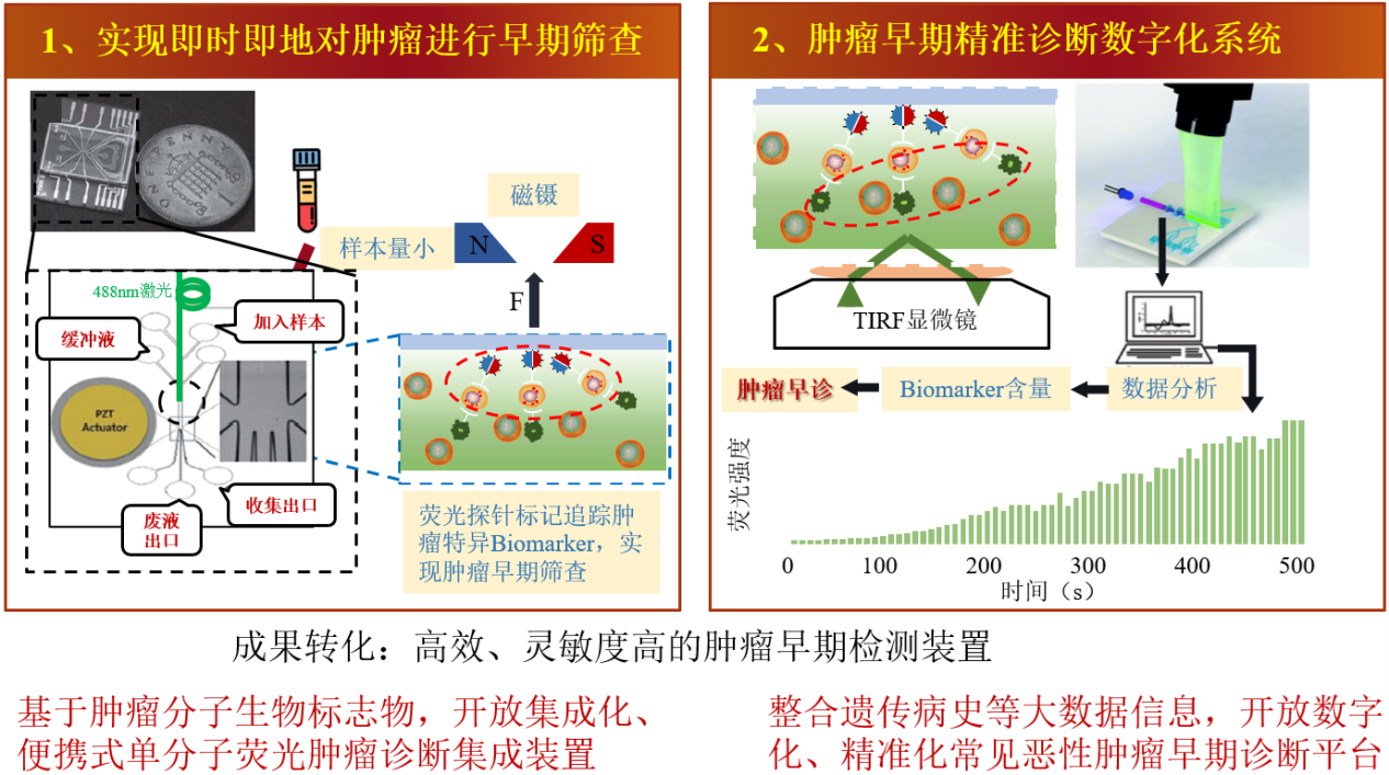 Scientific Projects - Shimmer Center